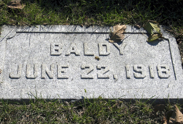 Chicago Secrets You Didn't Know Existed Chicago Secrets You Didn't Know Existed