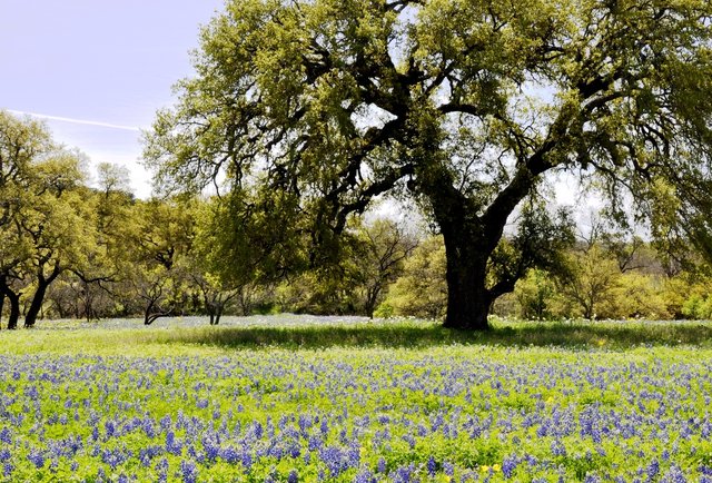 The 12 Most Beautiful Places In Texas You Didnt Know Existed