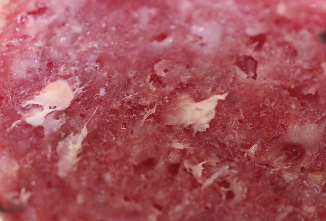 Can you guess these foods based on the zoomed-in cross section?