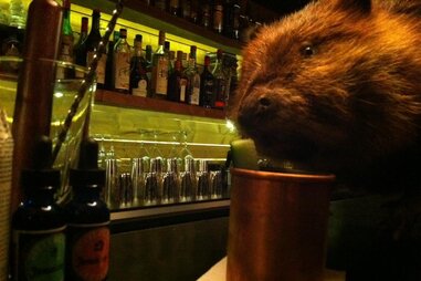 A river-crossing bar crawl along the Seine - Thrillist Paris