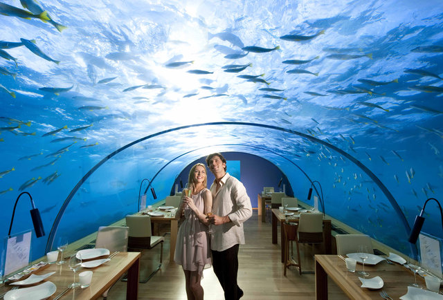 Underwater Hotel - The world’s Most Incredible Underwater Hotel Rooms ...