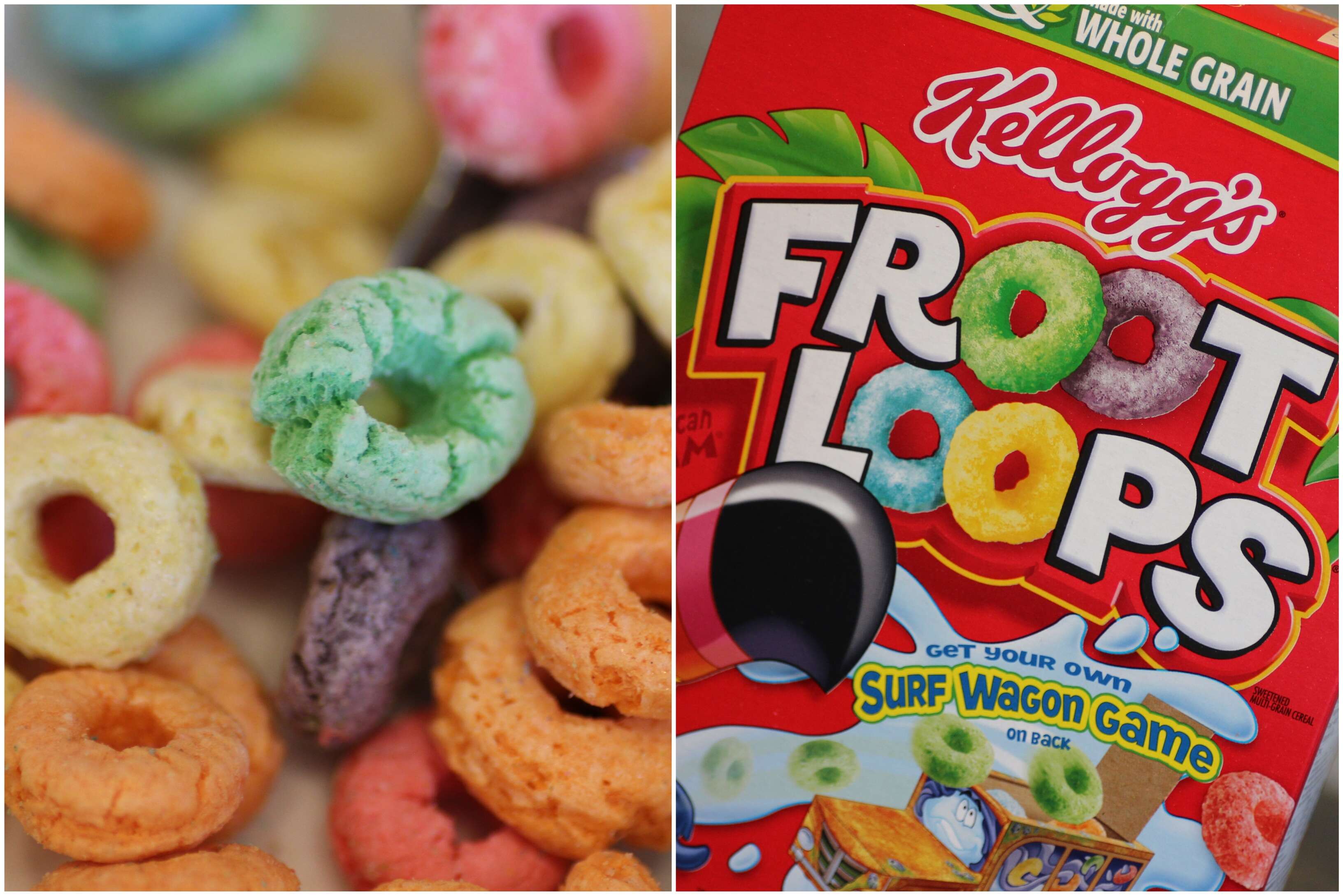 Are Froot Loops Bad For Dogs