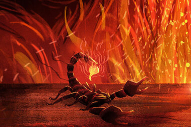 Cuervo Cinge, Cuervo's brand new cinnamon tequila - Thrillist Nation