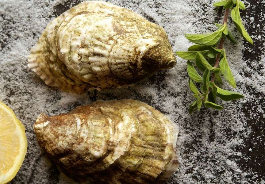 Ostra: A Restaurant in Boston, MA - Thrillist