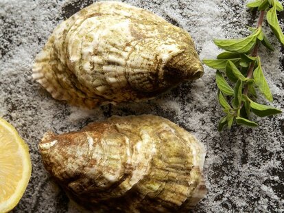 Ostra: A Restaurant in Boston, MA - Thrillist