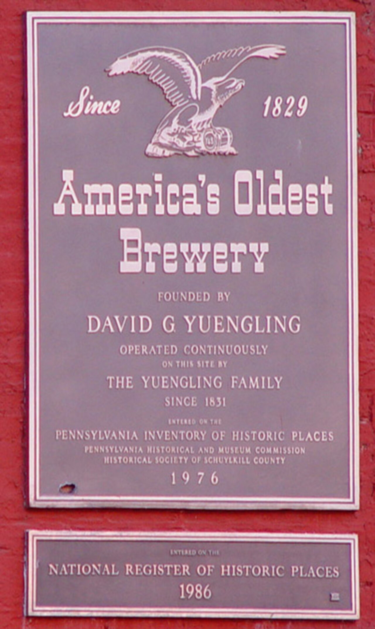13 Things You Didn't Know About Yuengling - Thrillist
