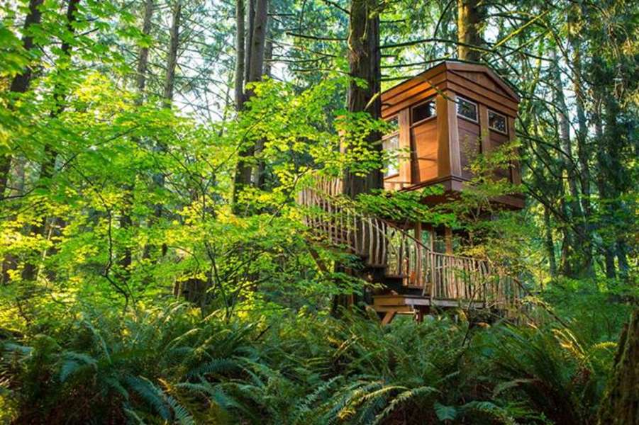 Treehouse Point: A Other in Issaquah, WA - Thrillist