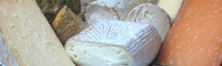 Cheese Addiction: Why Is Cheese So Addictive? - Thrillist