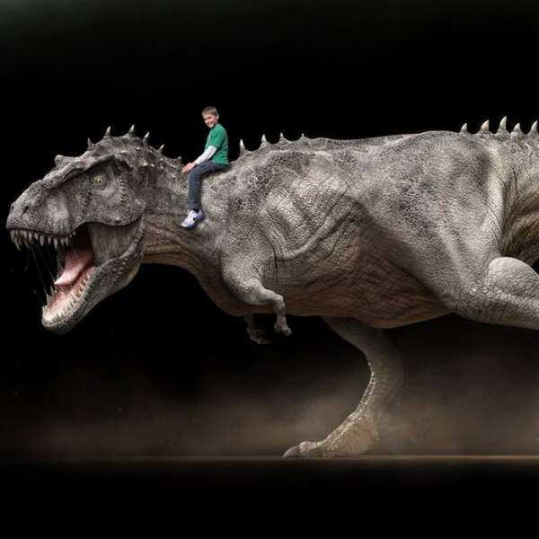 Dino Prints - Own - Thrillist Nation