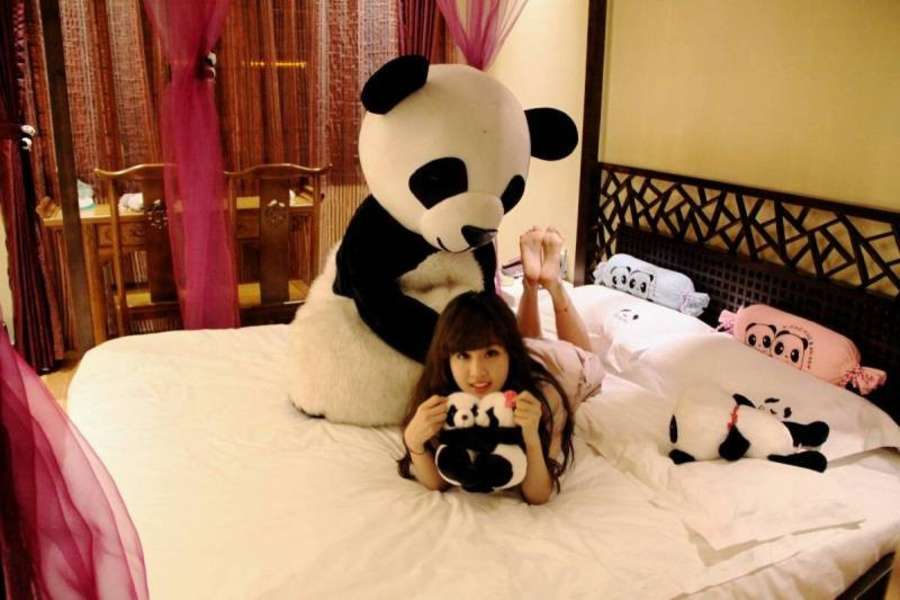 Panda-Themed Hotel Dedicated to Pandas in Sichuan, China - Thrillist