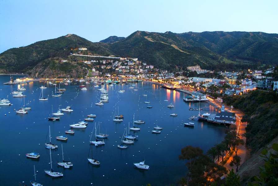 Free trip to Catalina in LA - Thrillist