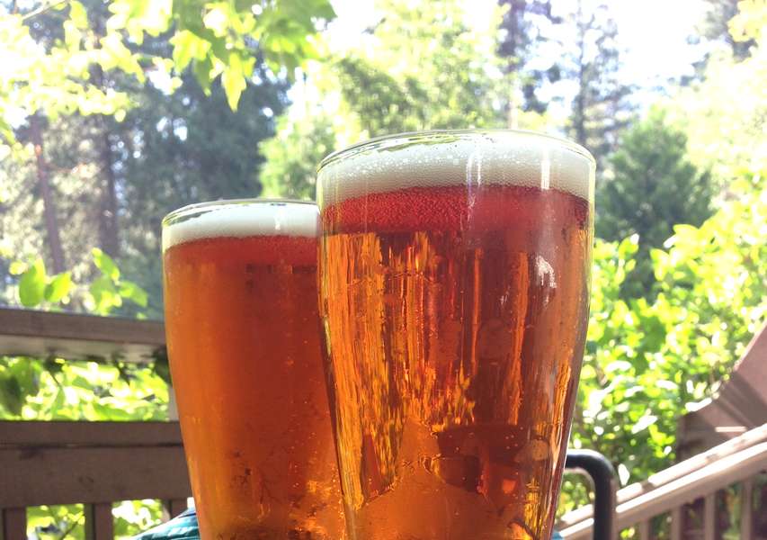 Local Bartenders in Denver Picks for Best Summer Beers - Thrillist