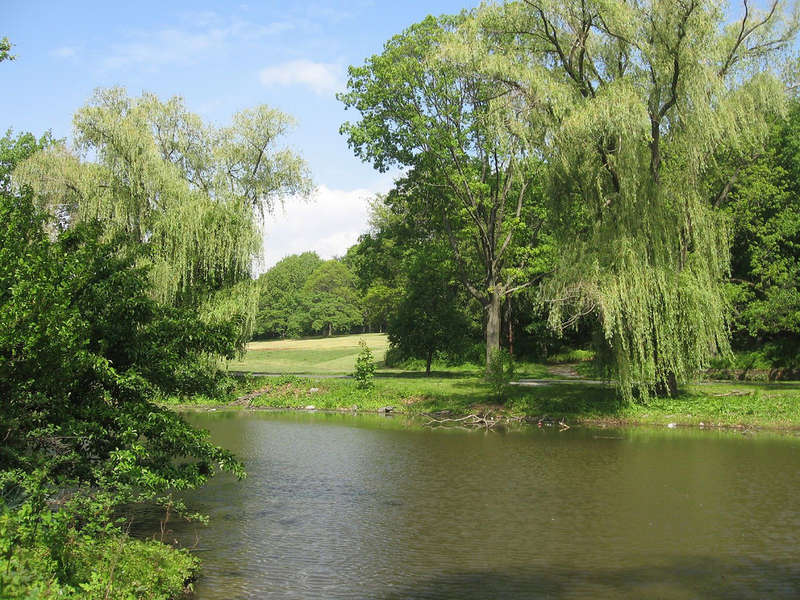 Crocheron Park: A Other in Queens, NY - Thrillist