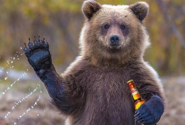 Things you didn’t know about Rainier Beer