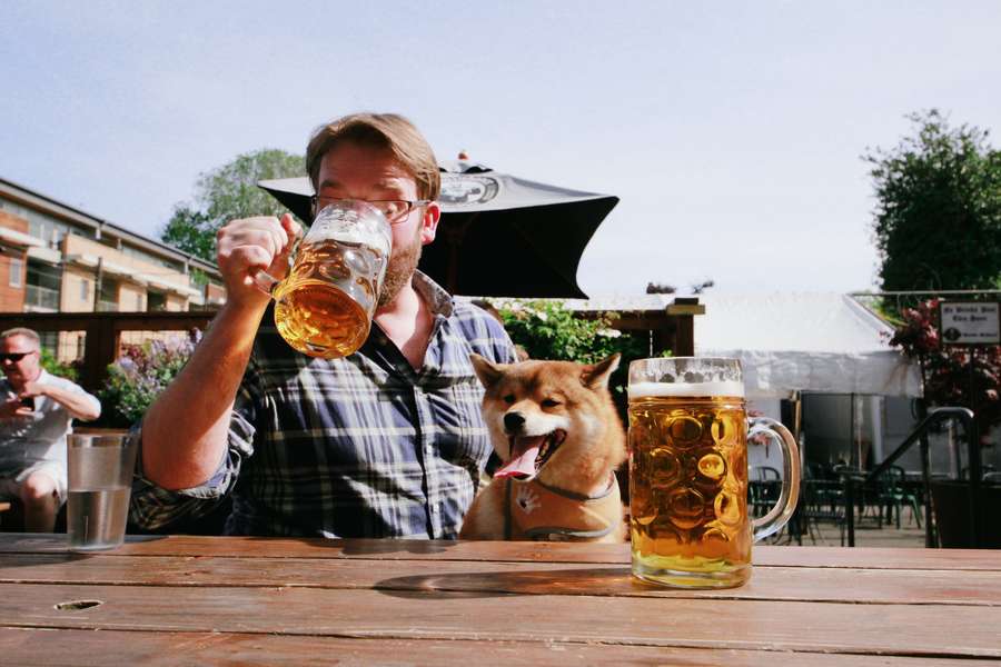 Types of dog owners in Portland bars - Thrillist