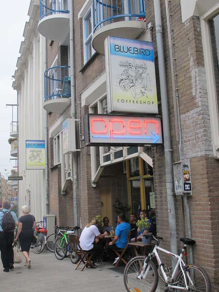 Bluebird: A Restaurant in Amsterdam, Noord-Holland - Thrillist