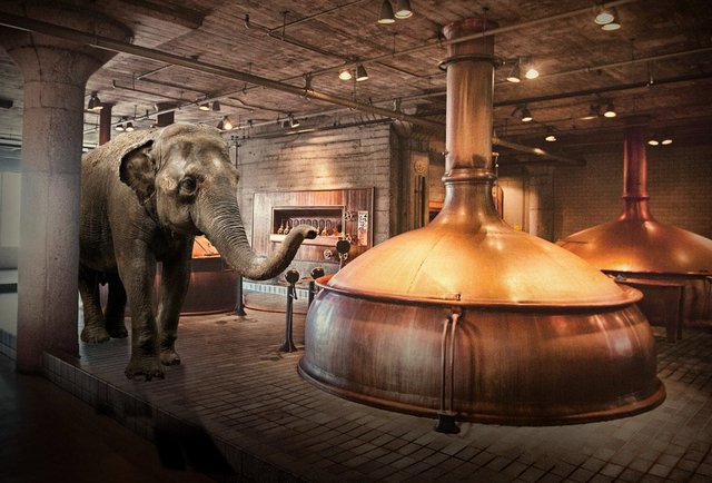 Best NorCal Breweries - California Craft Beer - SF