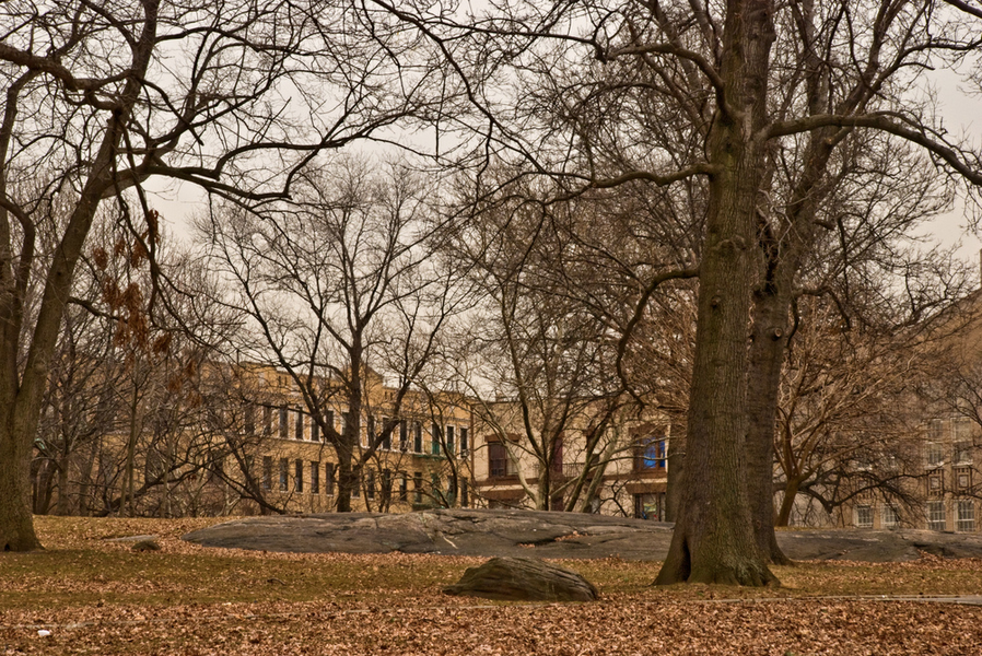 Crotona Park: A Other in Bronx, NY - Thrillist