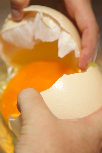 Ostrich Egg Breakfast Sandwich