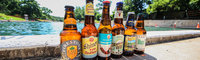 Best Summer Beer Variety Packs - Thrillist