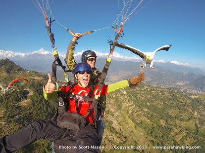 Parahawking combines paragliding and falconry - Thrillist