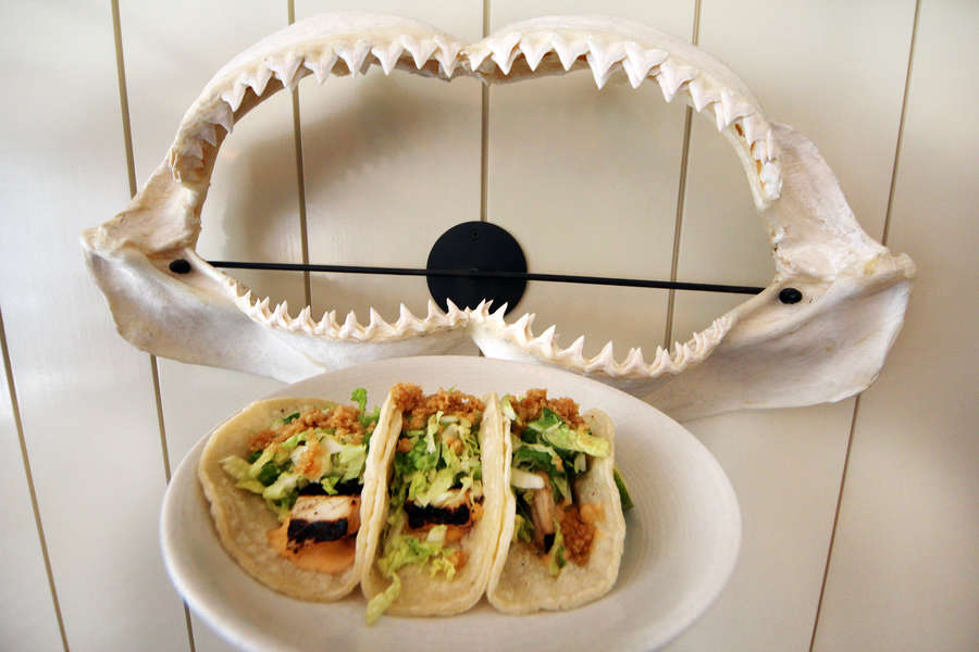 GT Fish And Oyster Shark Meat Taco Taste Test - Chicago - Thrillist