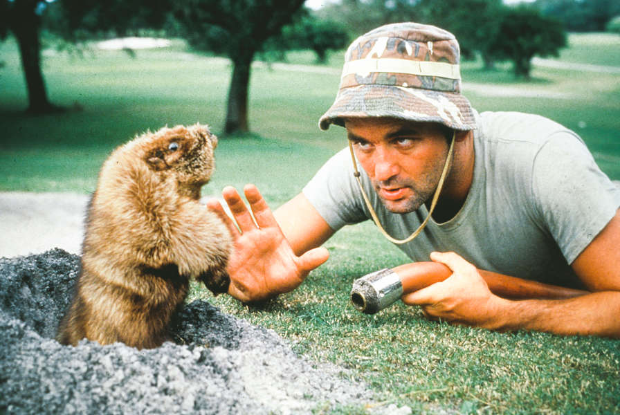 15 Bill Murray Quotes To Start Your Week - Thrillist