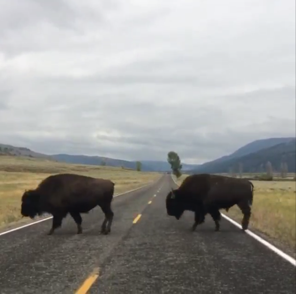 Hyperlapse - Instagram's New Video Creation App for iPhone - Thrillist