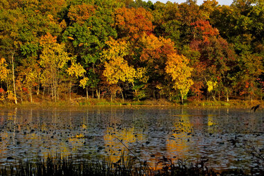 Things To Do In Detroit This Fall - Thrillist