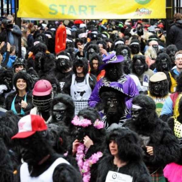 Austin Gorilla Run - Entertainment - Thrillist Austin