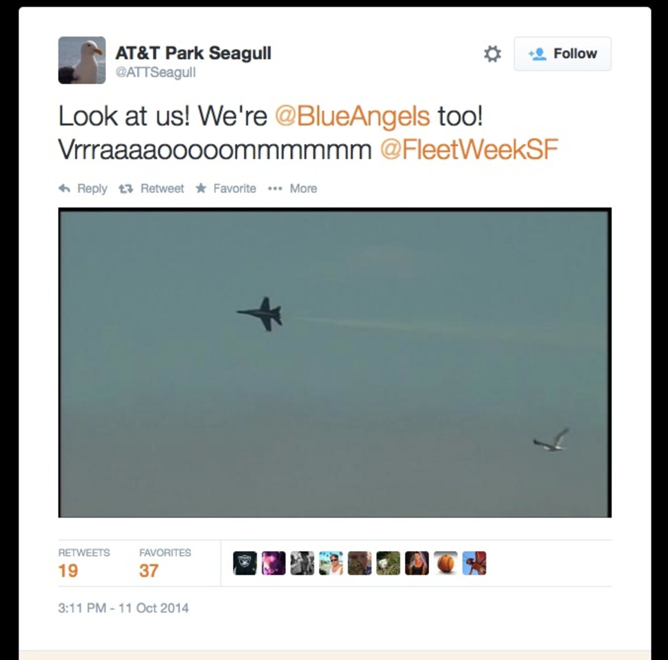 Best Twitter Accounts In SF - Thrillist