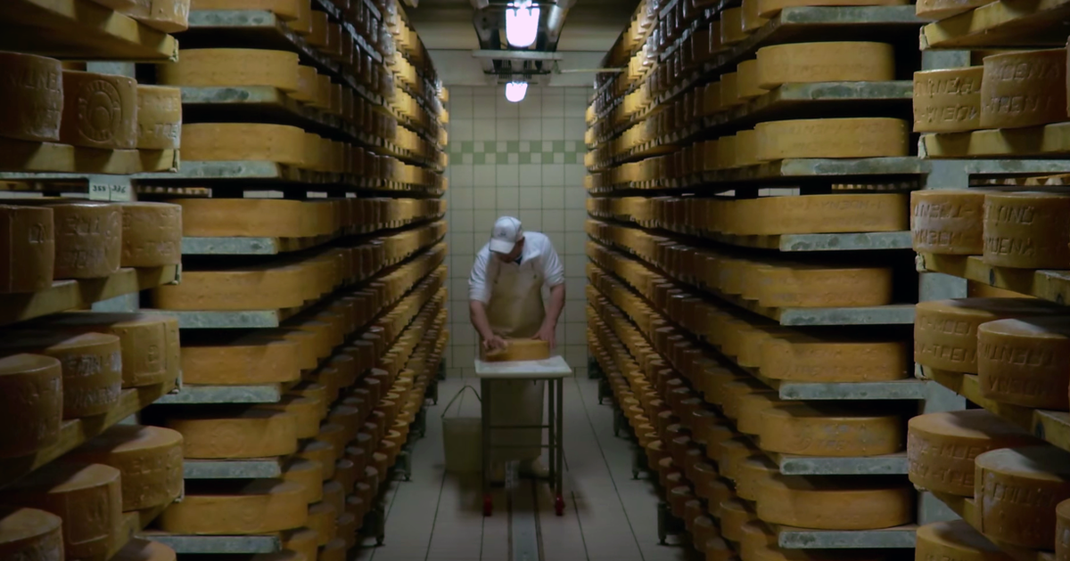 Cheese Videos - Channel Cheese TV - Thrillist