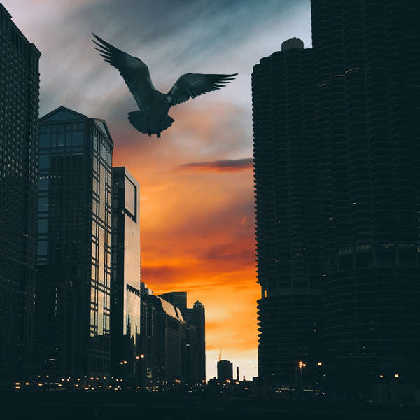 Best Chicago Instagram - Thrillist