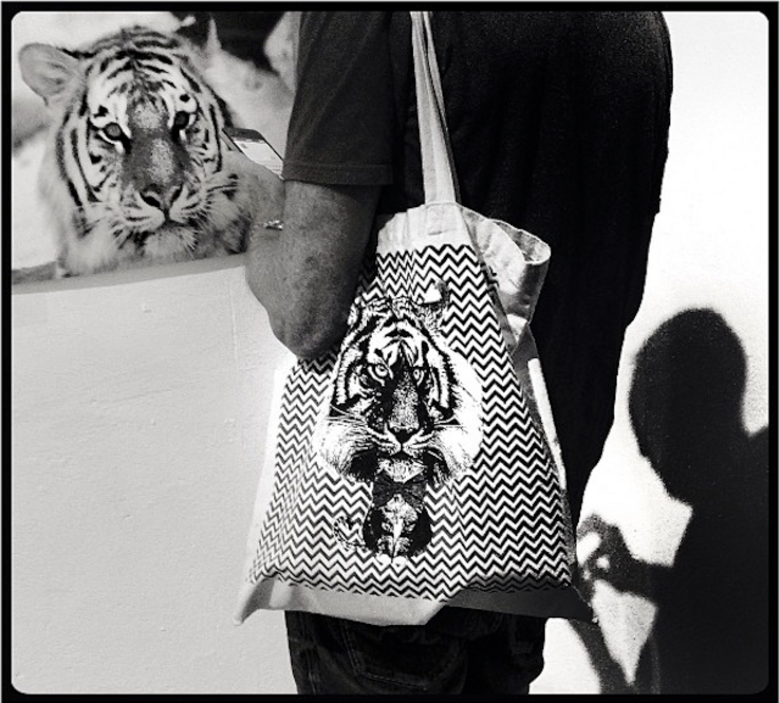 Best Instagram in Philly - Philadelphia Instagrams - Thrillist