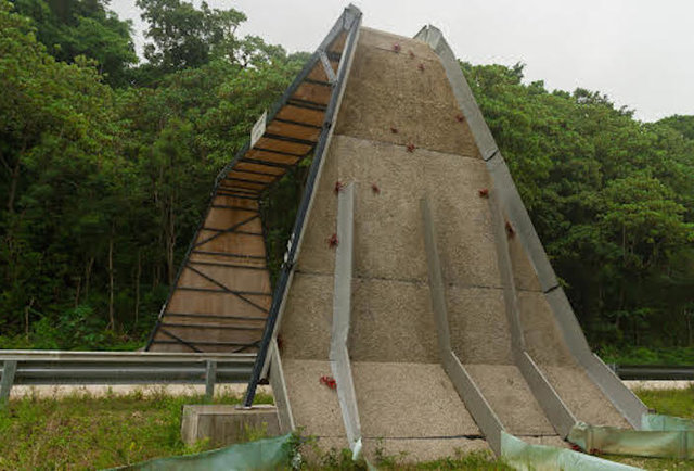 These are the coolest bridges in the world