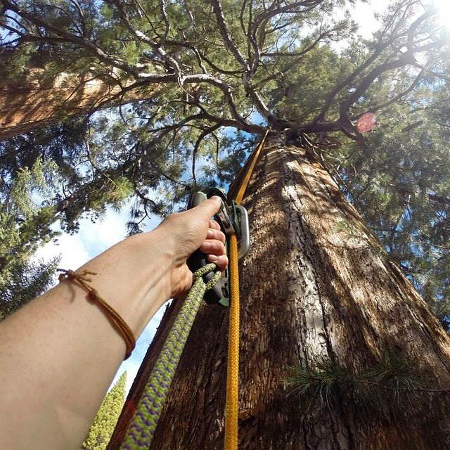 Best San Diego Instagrams - Thrillist