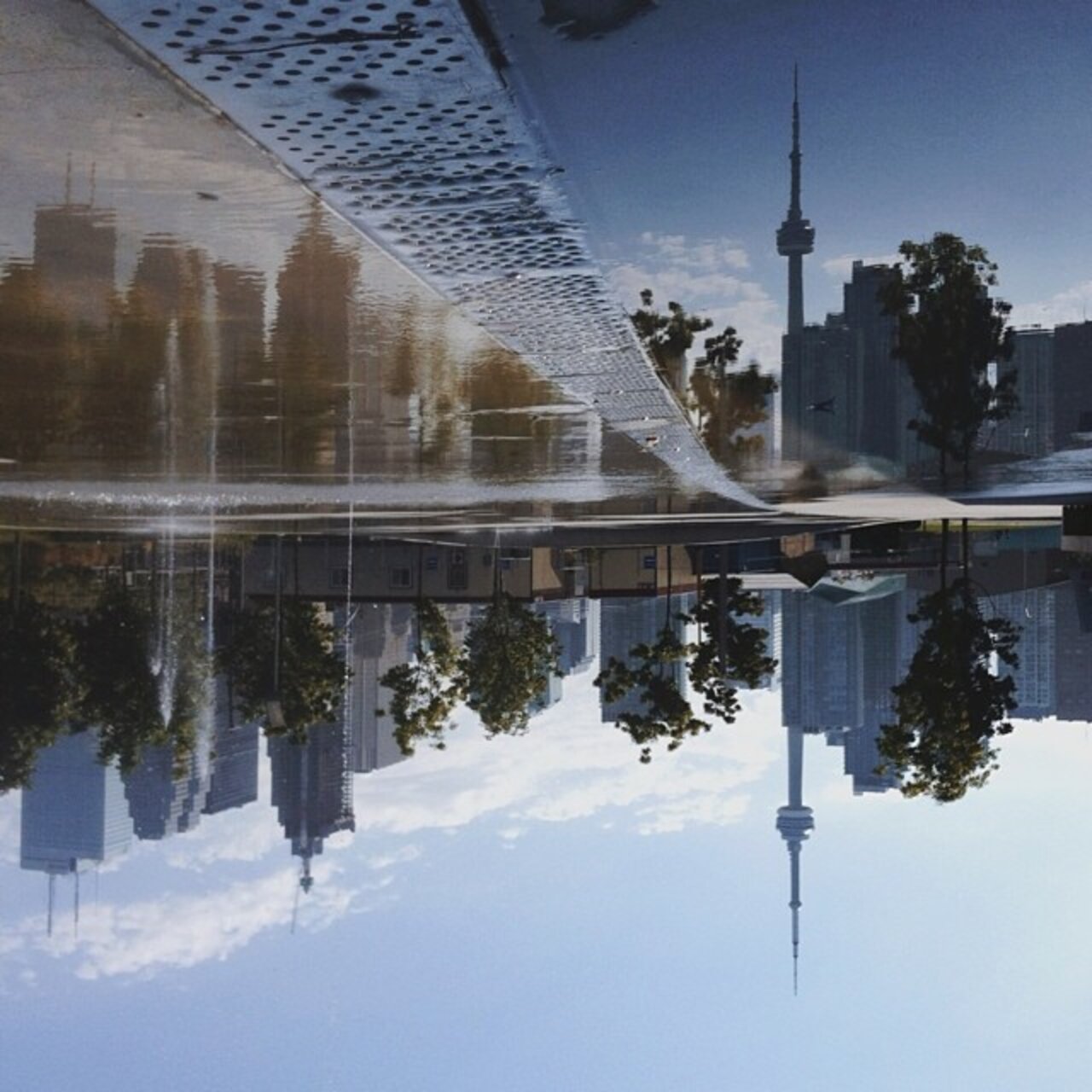 Best Toronto Instagrams - Thrillist
