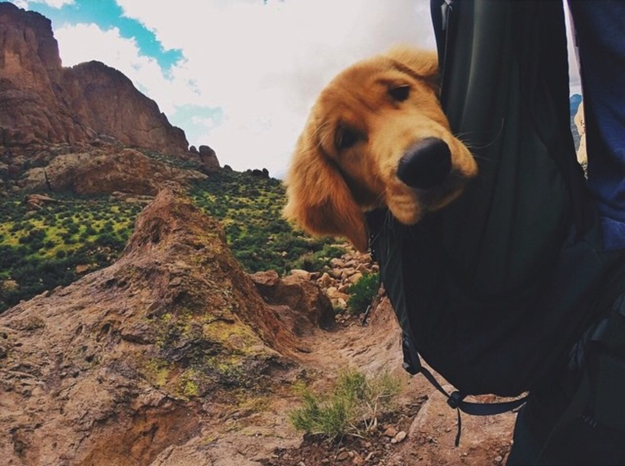 Best Phoenix Instagrams - Thrillist