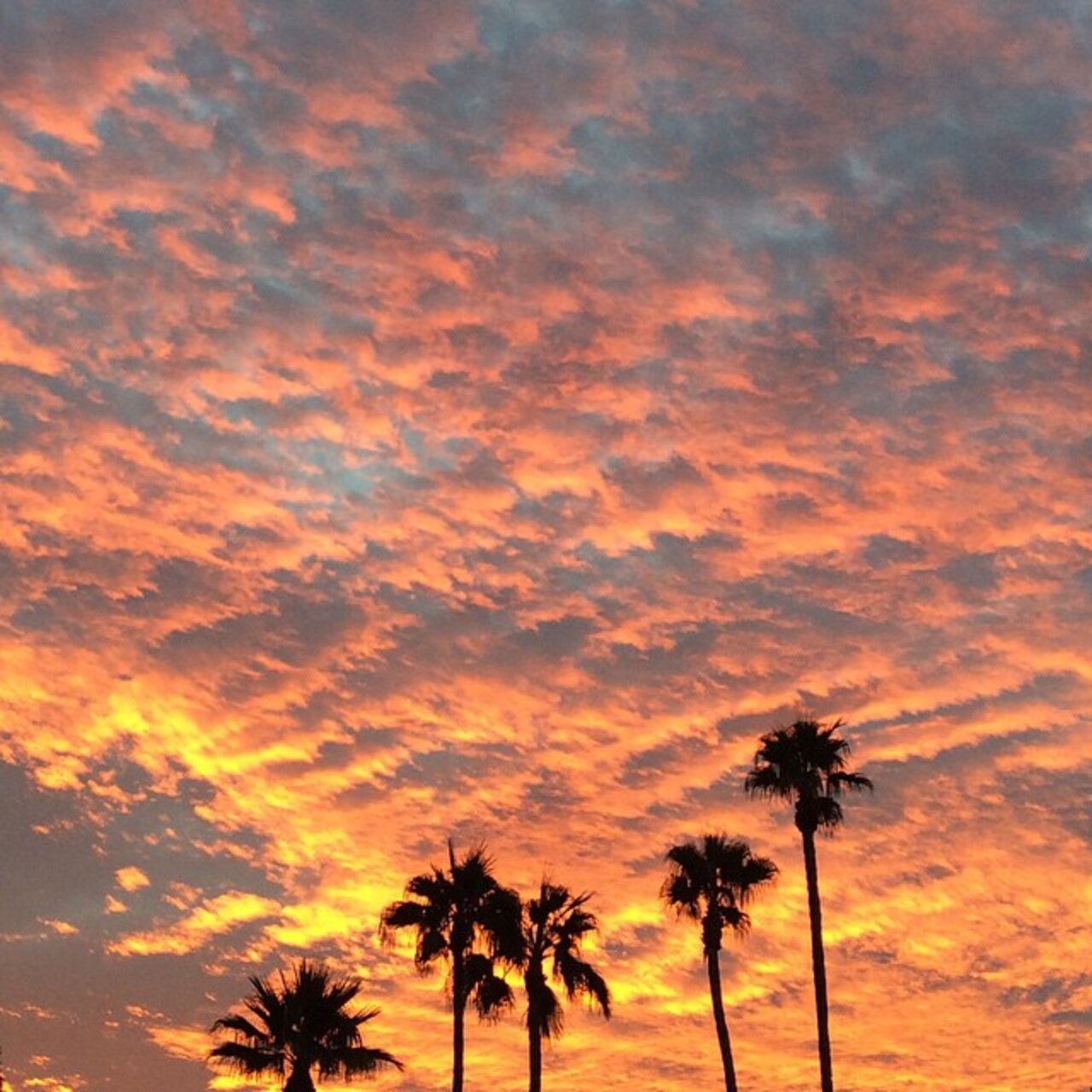 Best Phoenix Instagrams - Thrillist