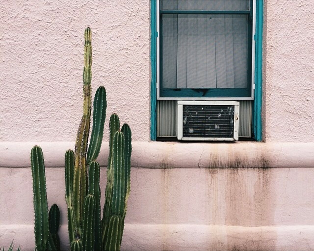 Best Phoenix Instagrams - Thrillist