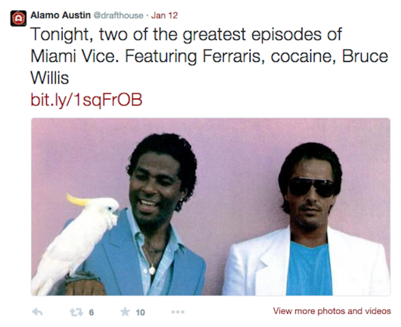 Best Austin Twitter Accounts - Thrillist