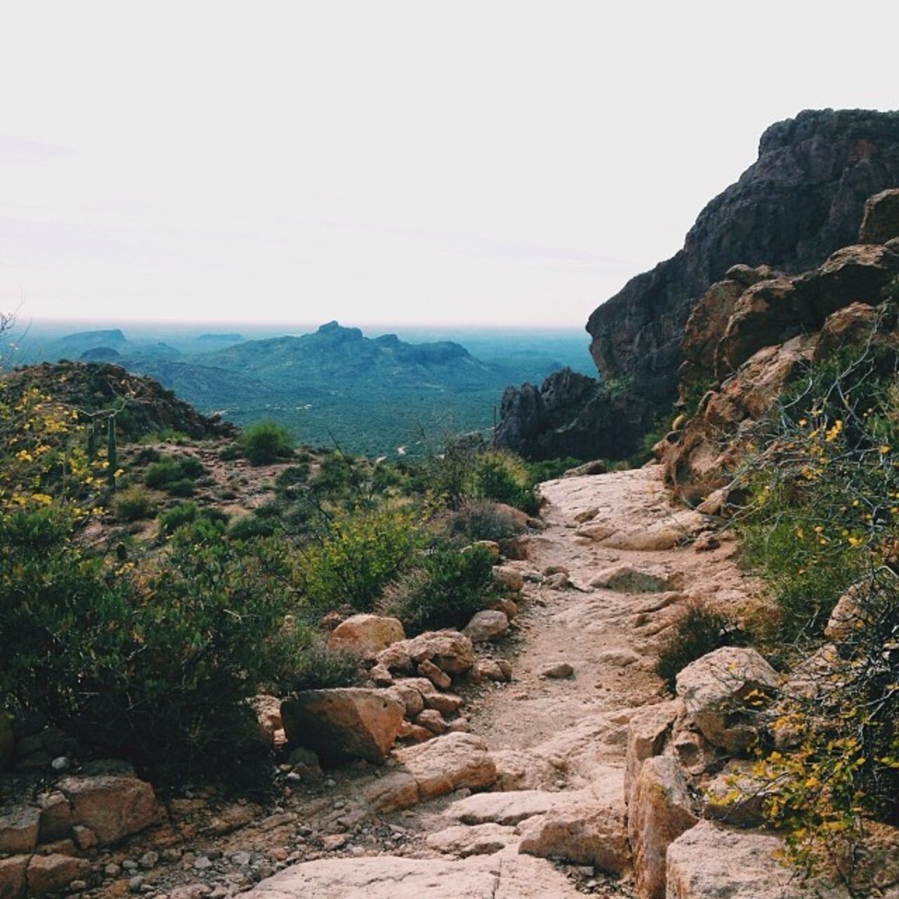 Best Phoenix Instagrams - Thrillist