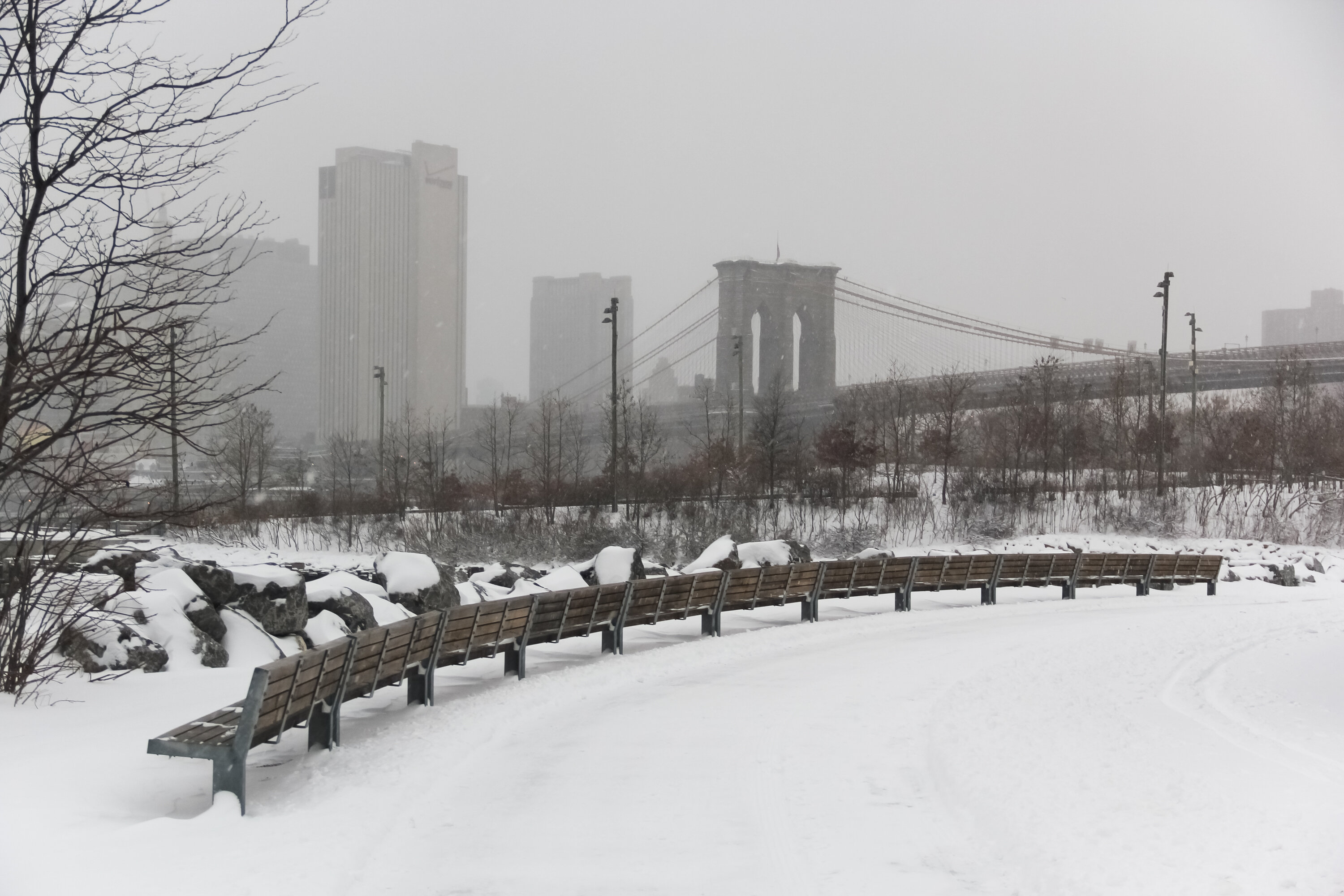 Photos of NYC during Winter Storm Juno Blizzard of 2015 - Thrillist