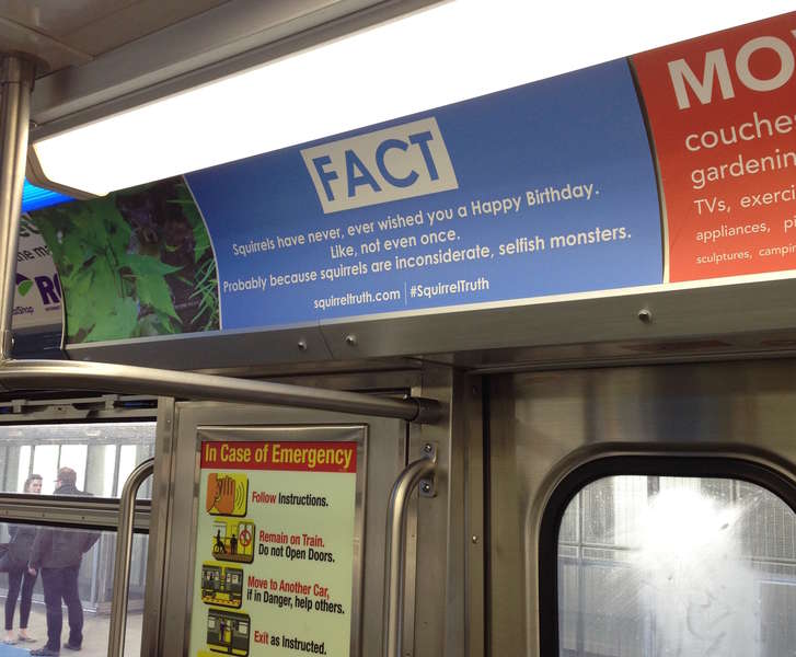 This Guy Is Warning Chicago Of "Squirrel Truths" With Funny CTA Ads ...