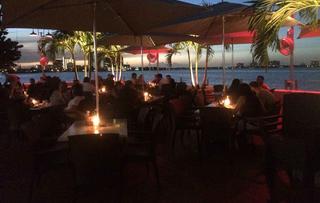 Bikini Bar: A Miami, FL Bar.