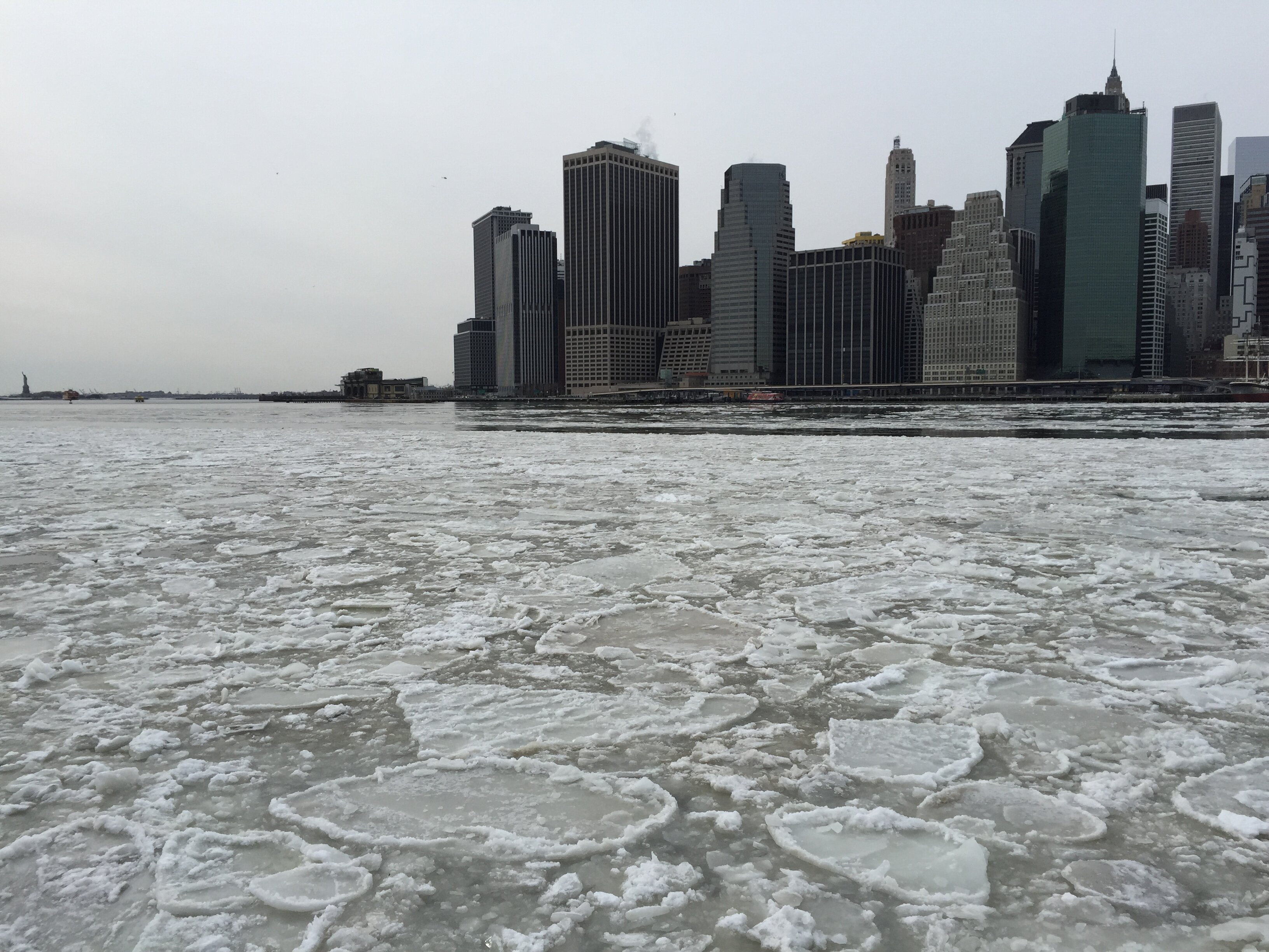 The East River is made of ice right now - Thrillist