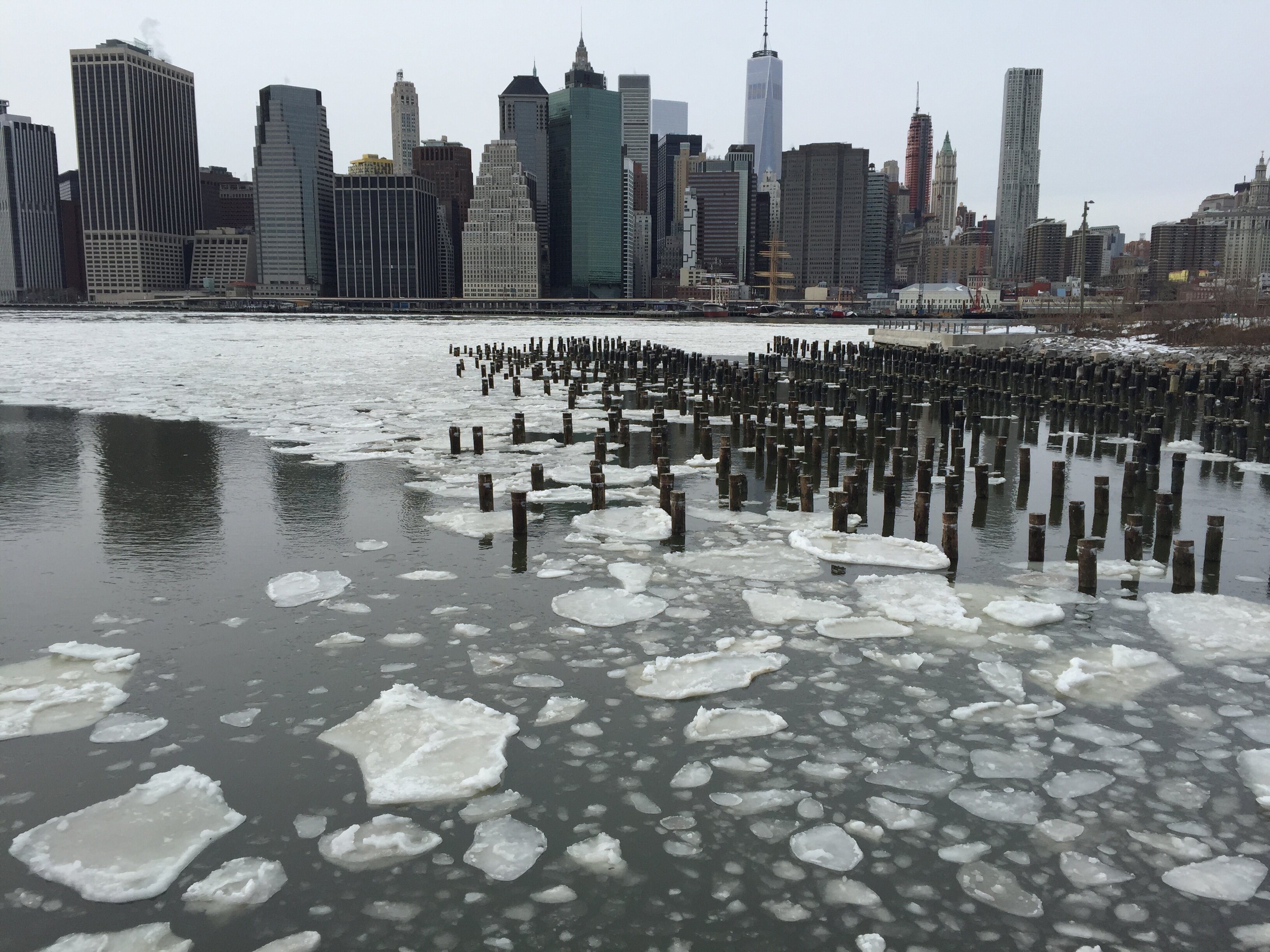 The East River is made of ice right now - Thrillist