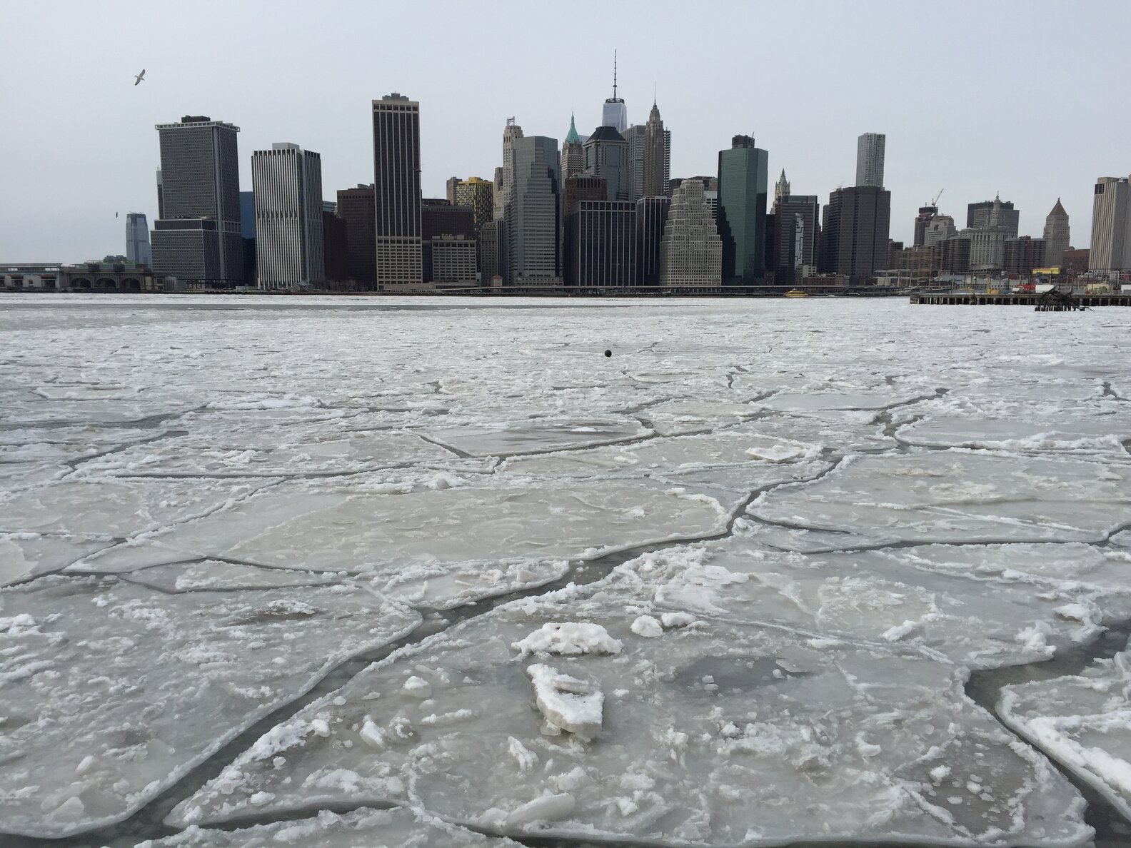 The East River is made of ice right now - Thrillist