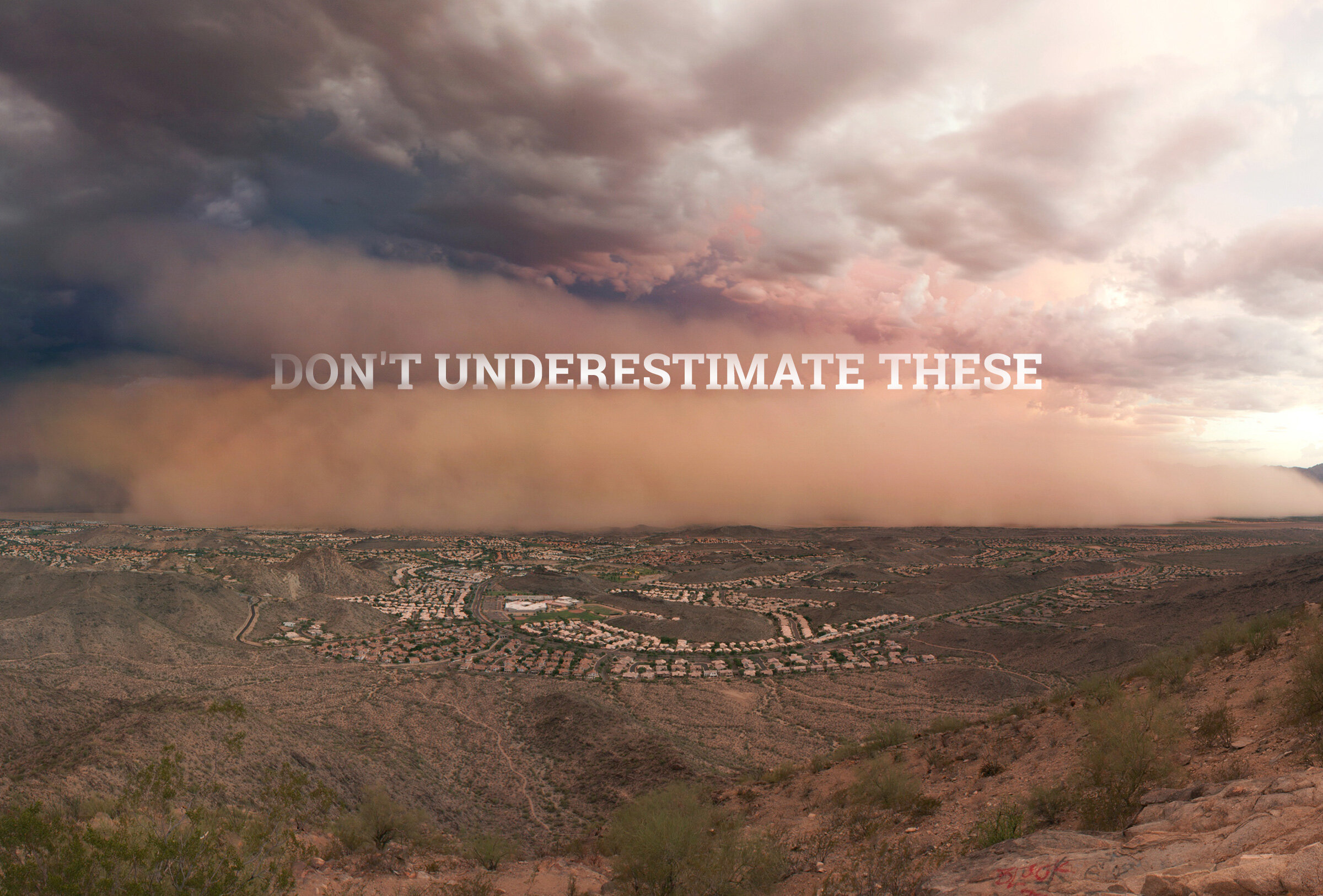 Rebecca Pisani - Thrillist