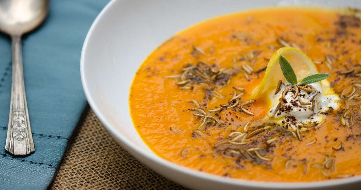 Edible Insects: 8 Bug Recipes We Dare You to Eat - Thrillist